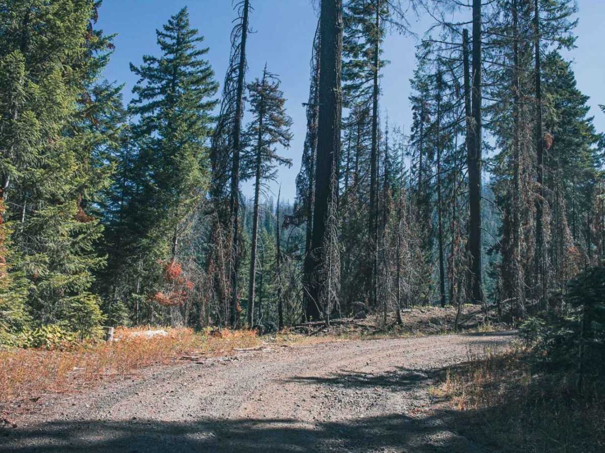 Doe Head Mountain | Off-Road Trail Maps, Difficulty, Trail Status | onX ...
