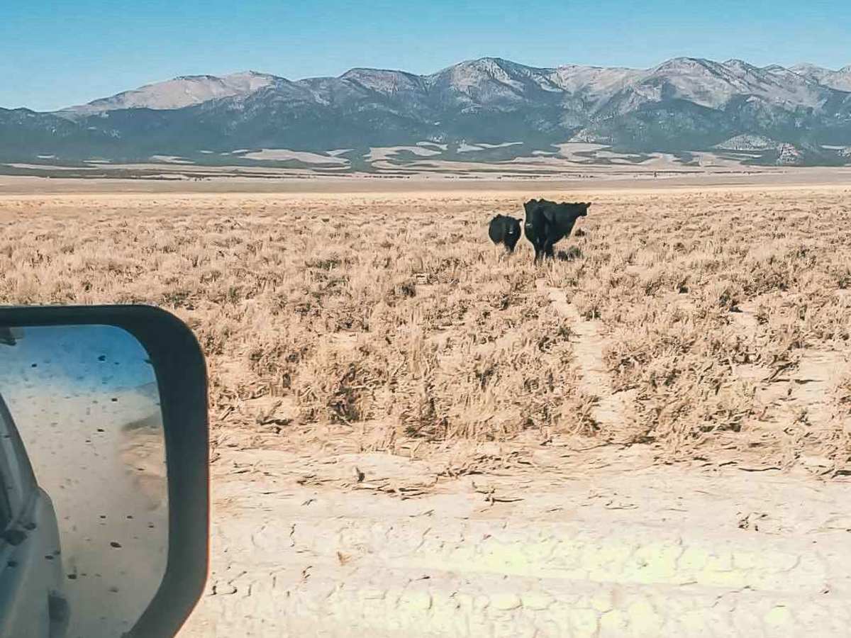 Farm View Road | Off-Road Trail Maps, Difficulty, Trail Status | onX ...