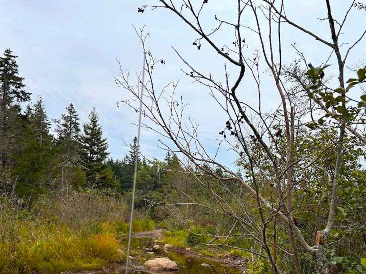Sands Road | Off-Road Trail Maps, Difficulty, Trail Status | onX Offroad