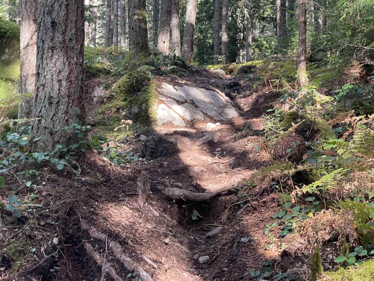Little Boy Blue | Off-Road Trail Maps, Difficulty, Trail Status | onX ...