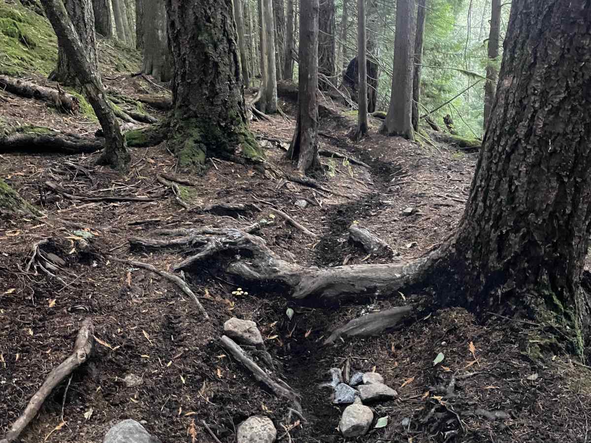 Run Eddy Run | Off-Road Trail Maps, Difficulty, Trail Status | onX Offroad