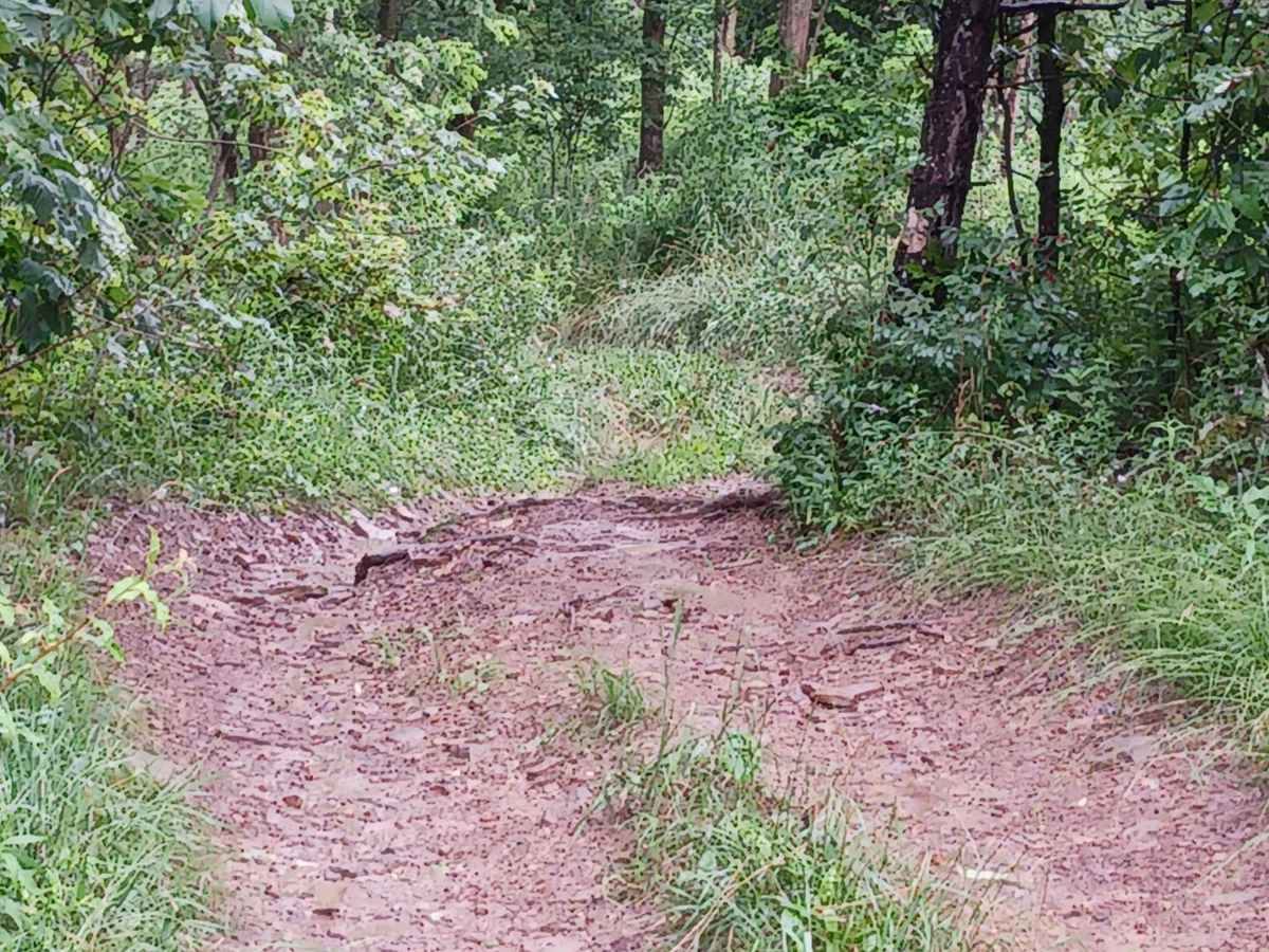 Trail 3E - Rock Run Recreation Area | Off-Road Trail Maps, Difficulty ...