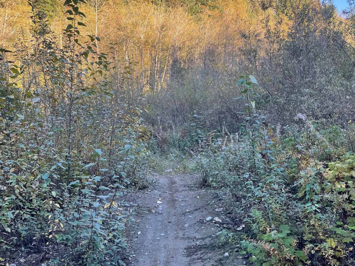 Small Wheels Only | Off-Road Trail Maps, Difficulty, Trail Status | onX ...