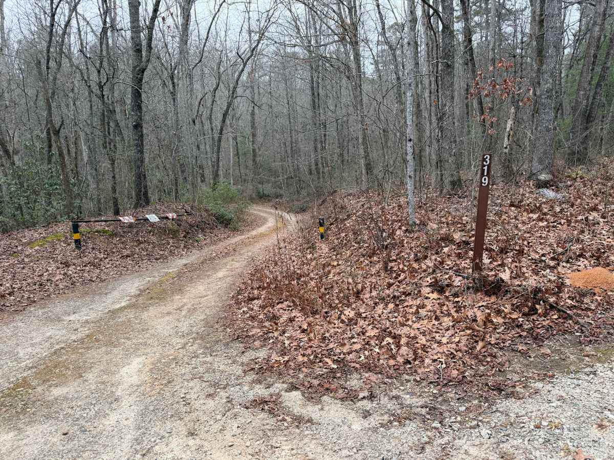 Silly Cook Mountain - FS 319 | Off-Road Trail Maps, Difficulty, Trail ...