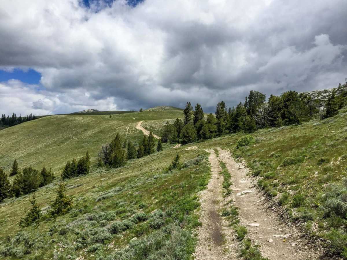 Bull Mountain | Off-Road Trail Maps, Difficulty, Trail Status | onX Offroad