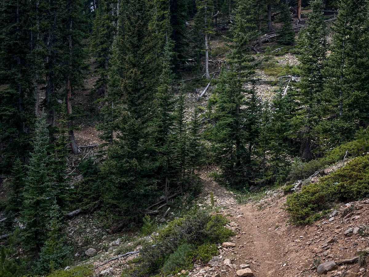 Sheep Mountain Interconnect Trail #740 | Off-Road Trail Maps ...
