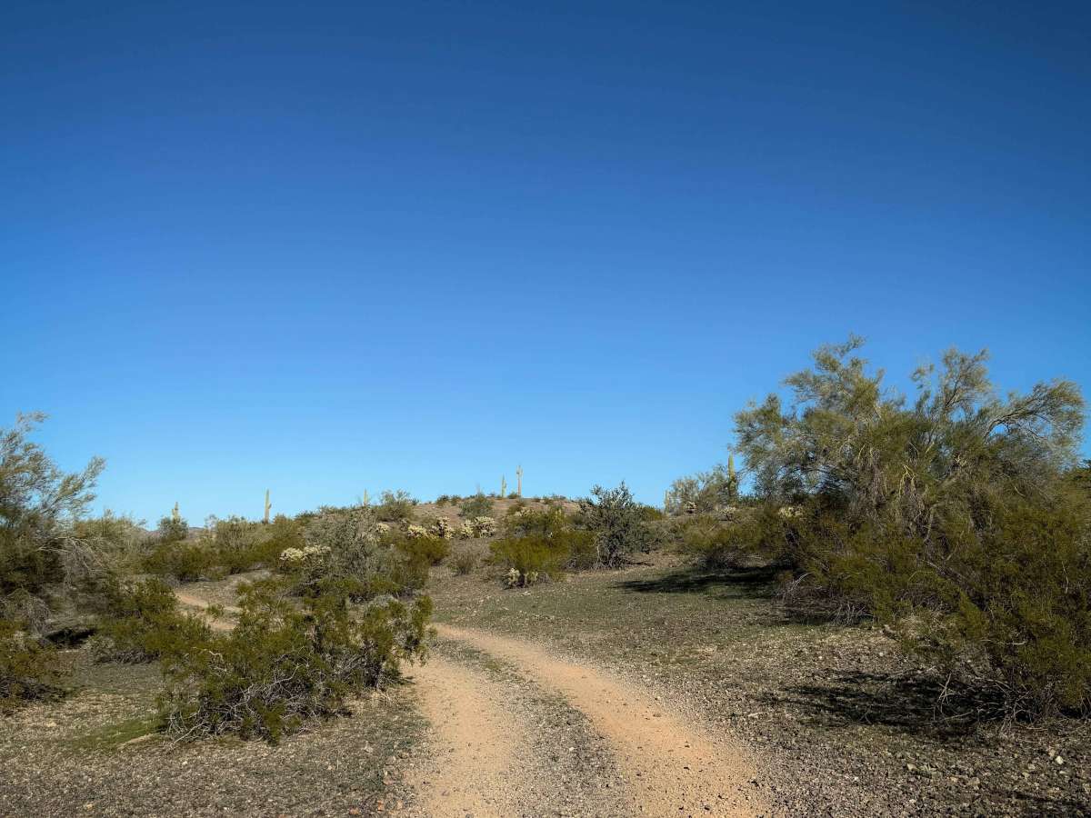 Creosote Run | Off-Road Trail Maps, Difficulty, Trail Status | onX Offroad