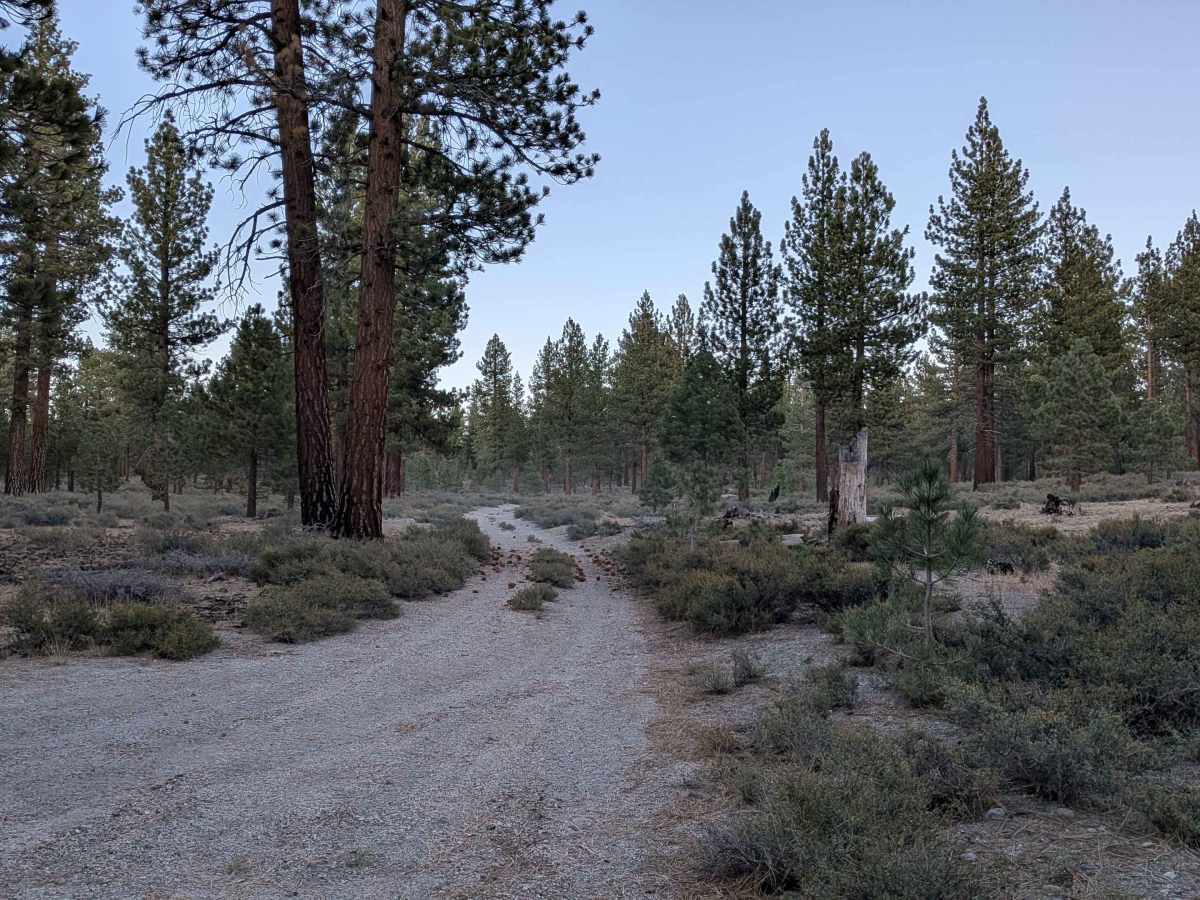 Sandy Flats Loop - FS 1S87 | Off-Road Trail Maps, Difficulty, Trail ...