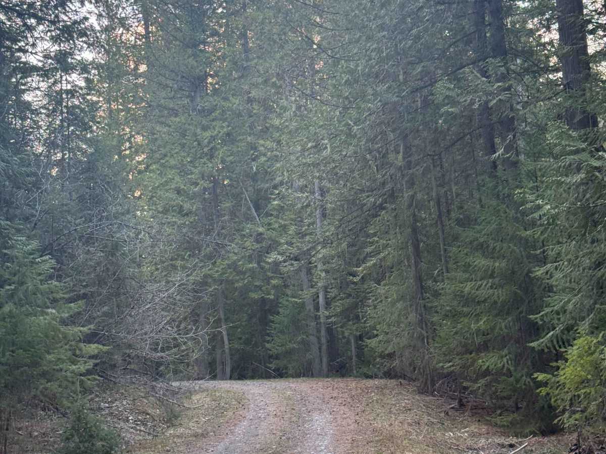 McKinley Mountain - FS 1500-045 | Off-Road Trail Maps, Difficulty ...