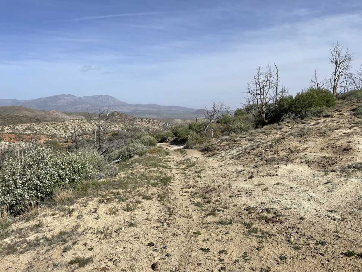 Up & Out Of Oak Patch Wash | Off-Road Trail Maps, Difficulty, Trail ...