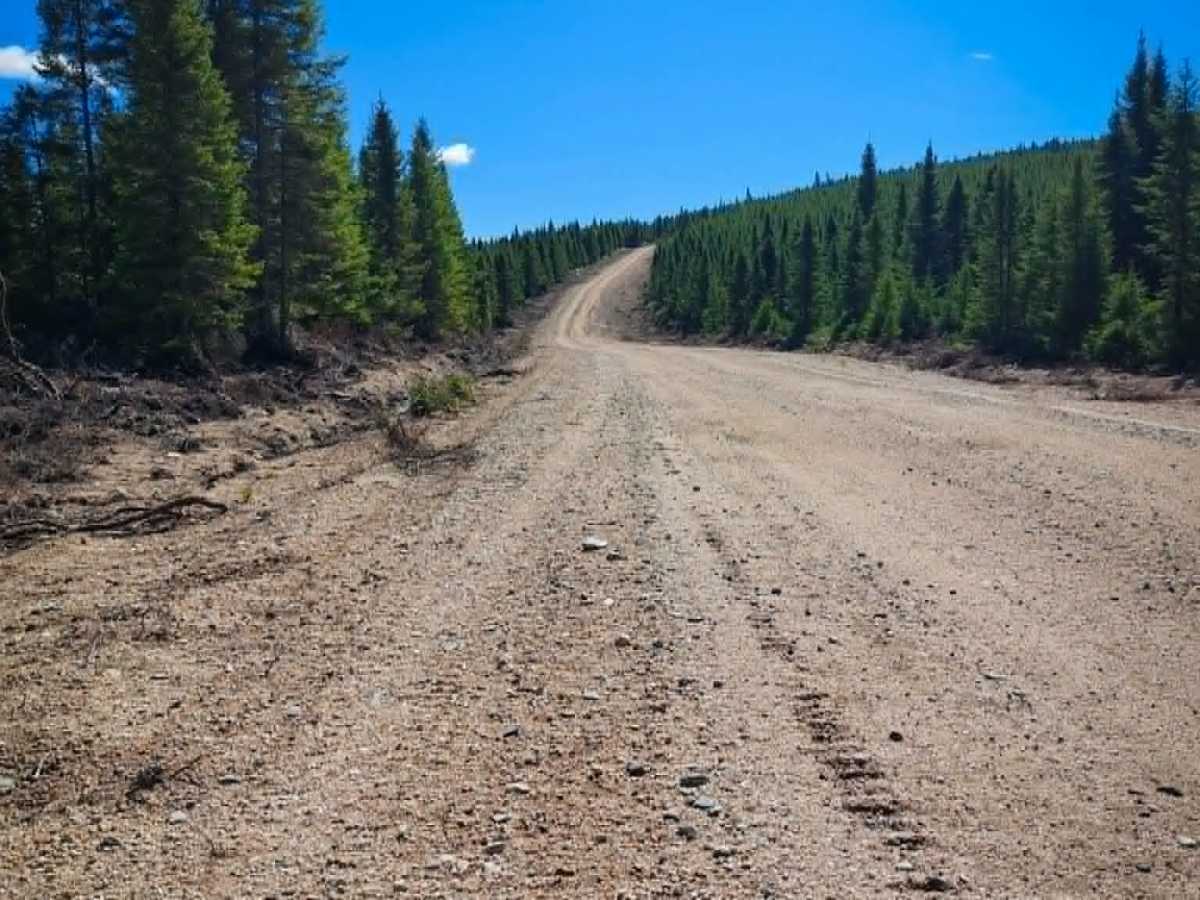 Big Bald Mountain | Off-Road Trail Maps, Difficulty, Trail Status | onX ...
