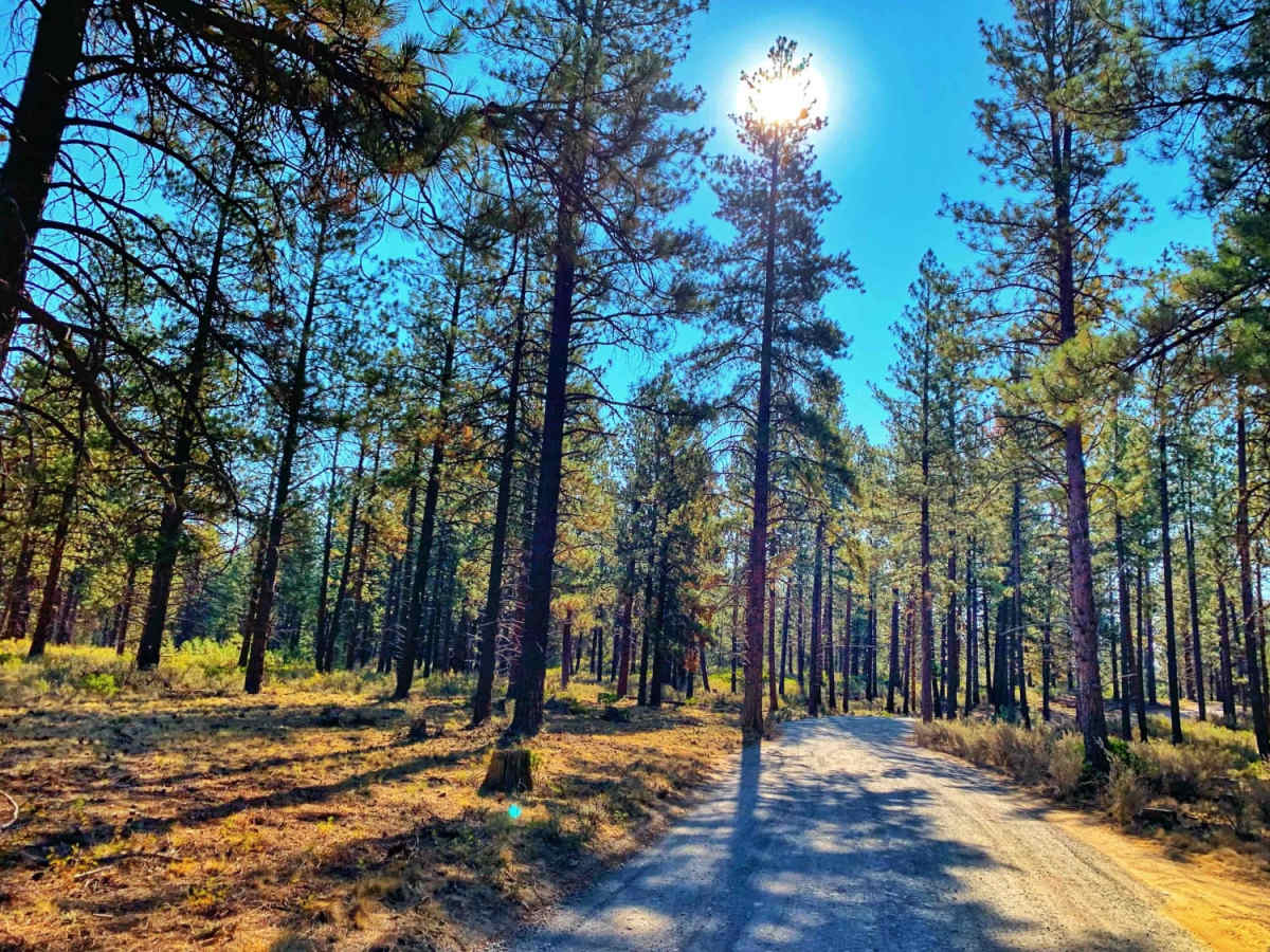 Aspen Boat Launch and Day-Use | Off-Road Trail Maps, Difficulty, Trail ...