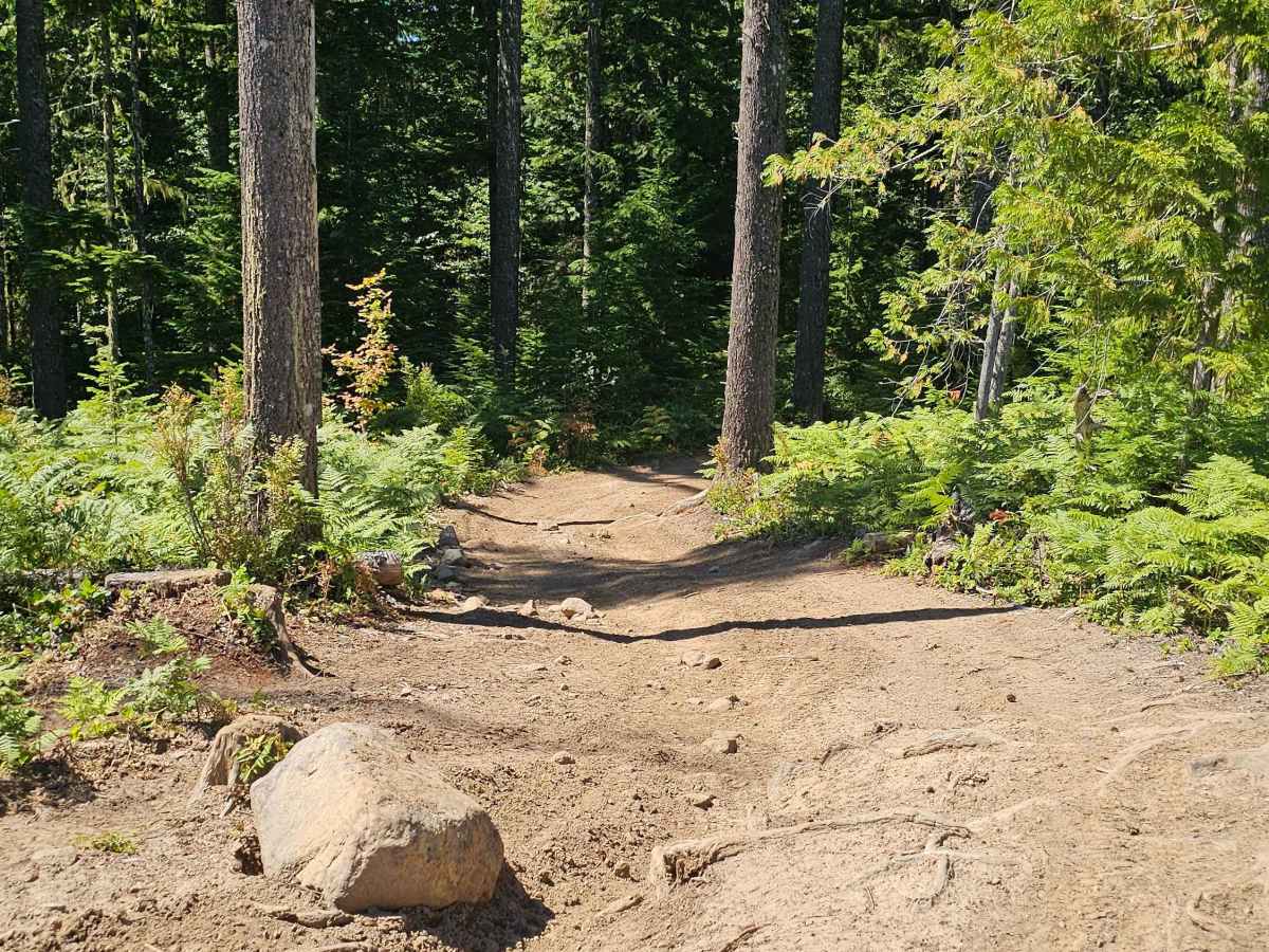 Swamp Trail | Off-Road Trail Maps, Difficulty, Trail Status | onX Offroad