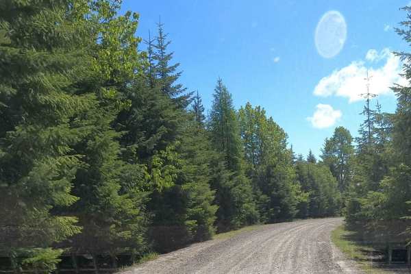 Best Off-Road Trails Near Ronald, Washington | Maps, Ratings & Info | onX