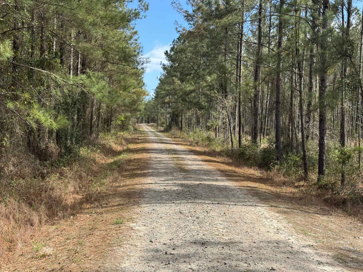 South End Road | Off-Road Trail Maps, Difficulty, Trail Status | onX ...