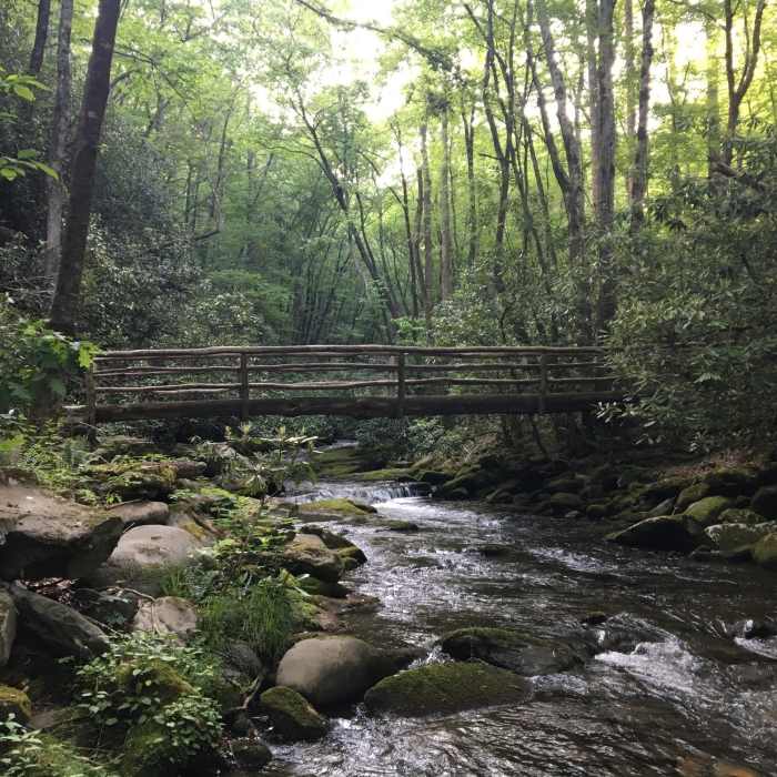 Noland Creek Trail - North | Hiking Trail Maps, Difficulty, Trail ...