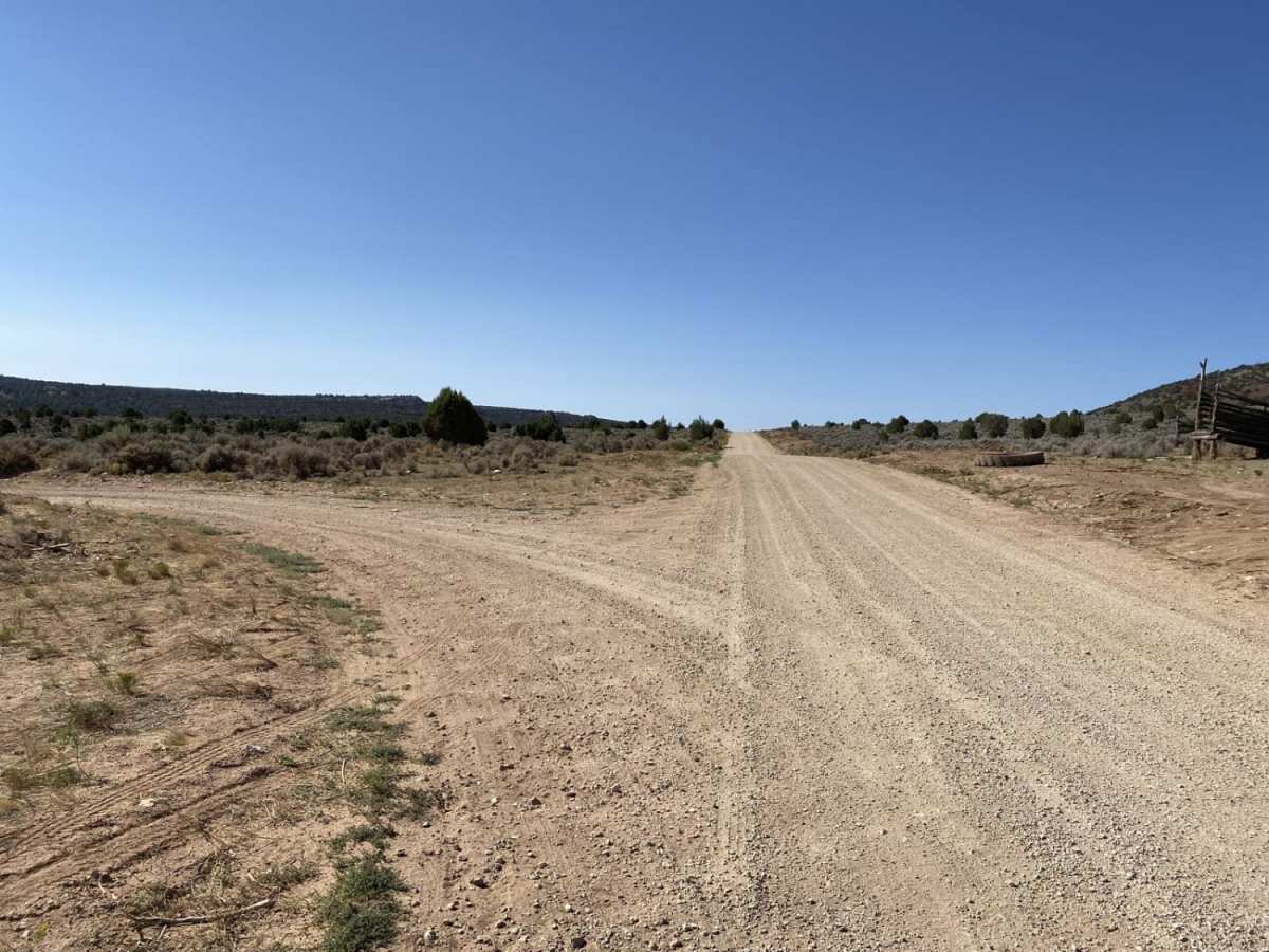 Pine Tree Road | Off-Road Trail Maps, Difficulty, Trail Status | onX ...