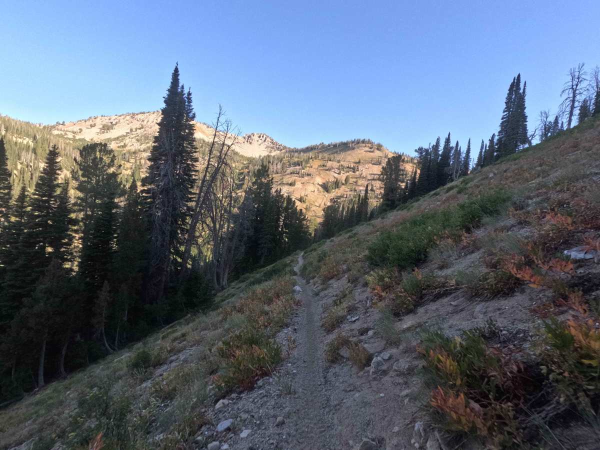 North Fork Ross Fork - FS 7226 | Off-Road Trail Maps, Difficulty, Trail ...