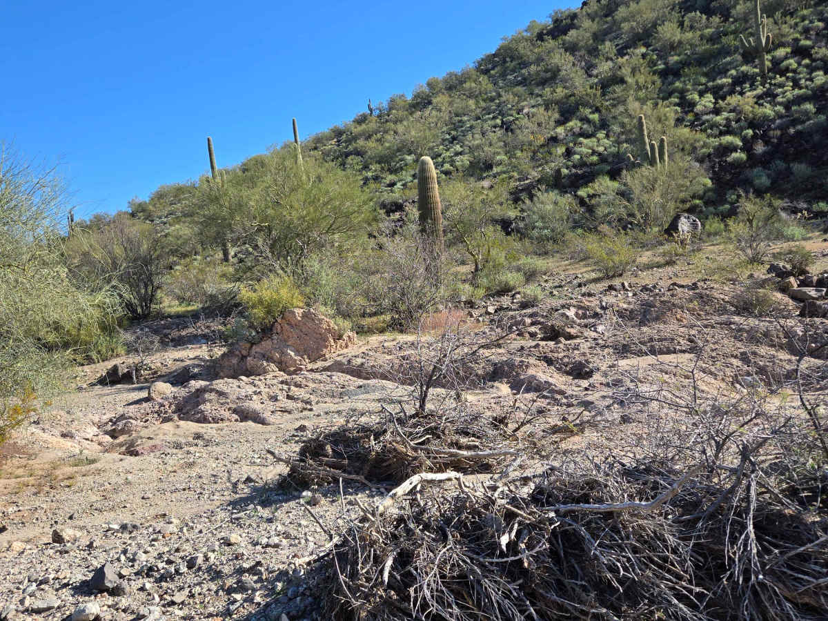 Never Lost | Off-Road Trail Maps, Difficulty, Trail Status | onX Offroad