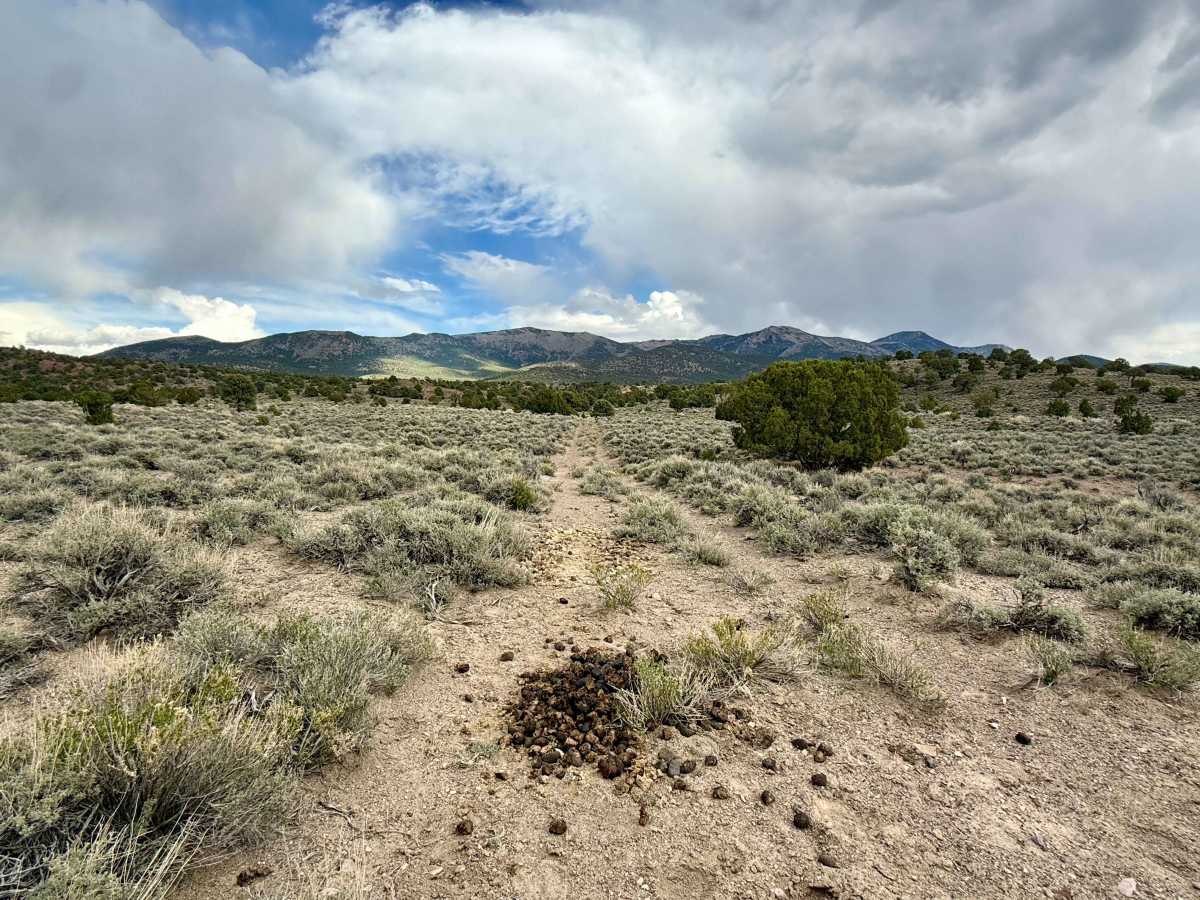 Pony Express Trail 1860 California Telegraph Route | Off-Road Trail ...