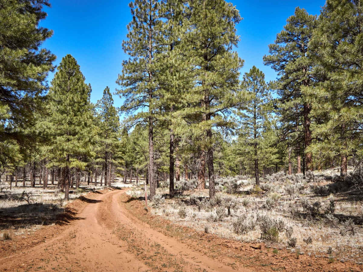 2607 Road | Off-Road Trail Maps, Difficulty, Trail Status | onX Offroad