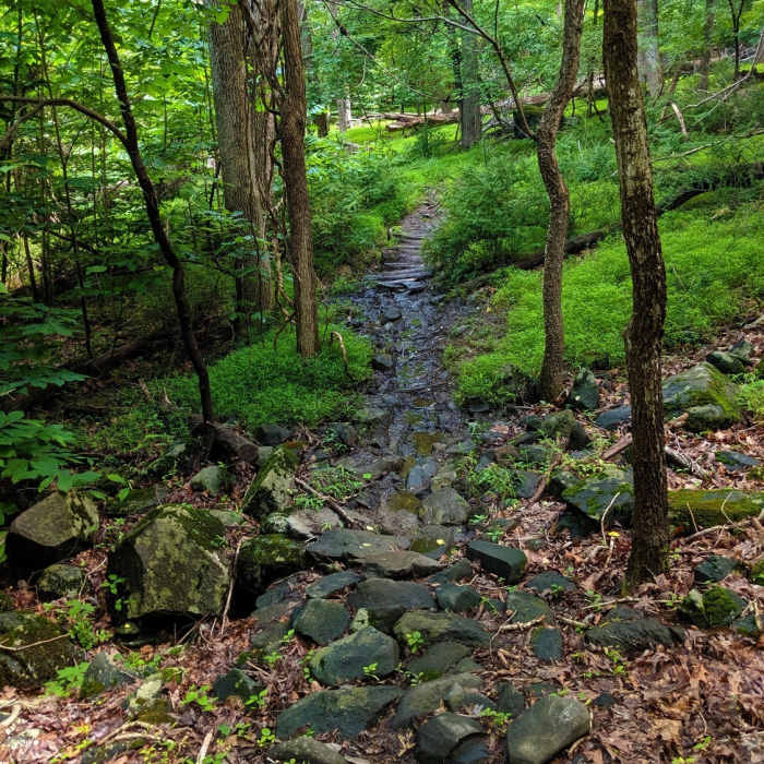 Jane Trail | Hiking Trail Maps, Difficulty, Trail Status | onX