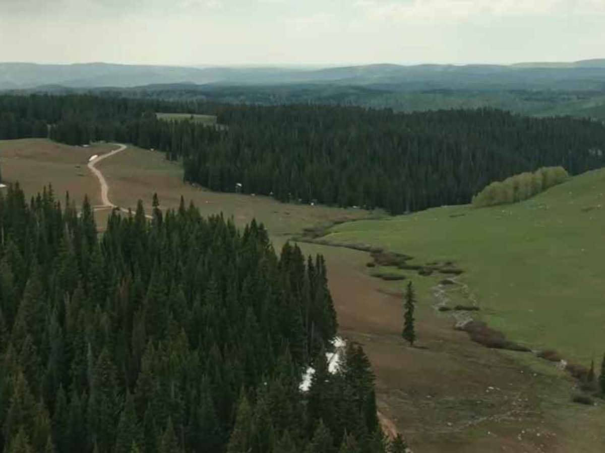 Clinetop Road | Off-Road Trail Maps, Difficulty, Trail Status | onX Offroad