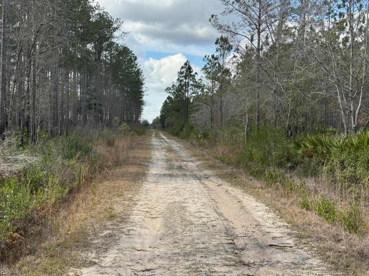 Cement Bridge Road | Off-Road Trail Maps, Difficulty, Trail Status ...