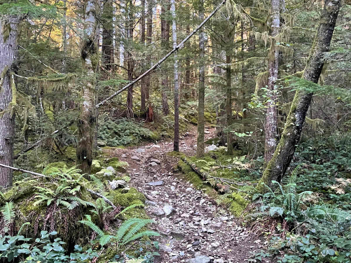 Run Eddy Run Link | Off-Road Trail Maps, Difficulty, Trail Status | onX ...
