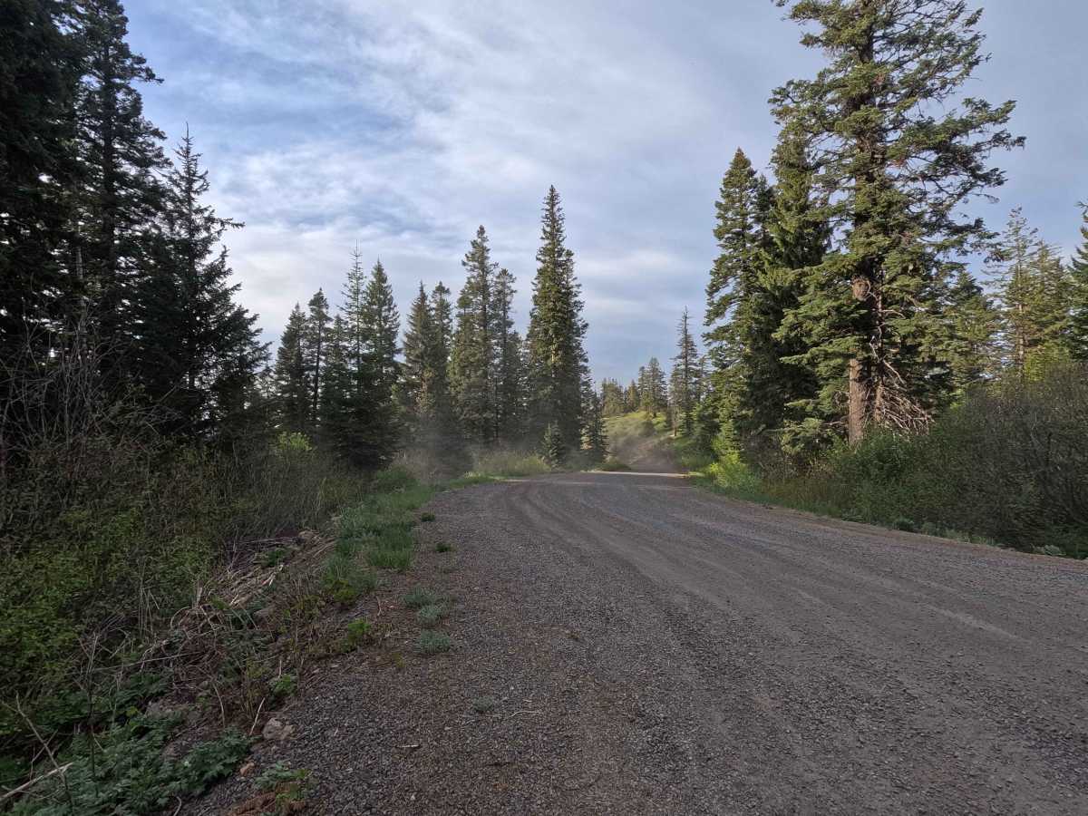 Skyline Road - FS 31 | Off-Road Trail Maps, Difficulty, Trail Status ...