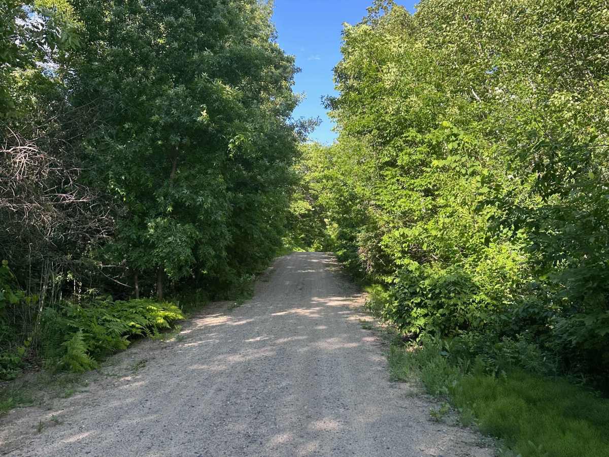 East Gulch Forest Ln | Off-Road Trail Maps, Difficulty, Trail Status ...