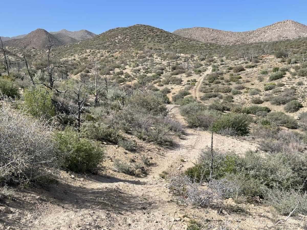 Pass On This One | Off-Road Trail Maps, Difficulty, Trail Status | onX ...