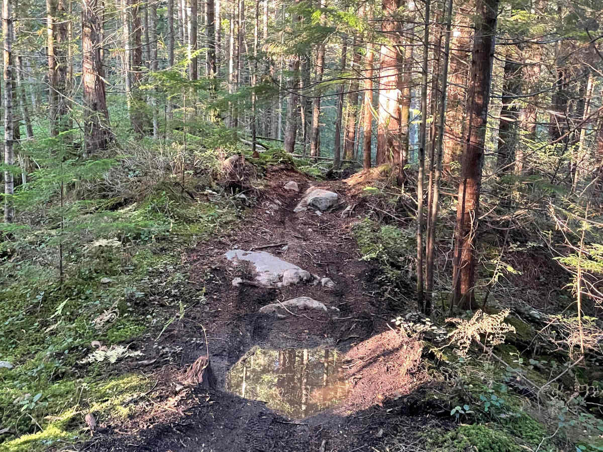Uncle Big Rig | Off-Road Trail Maps, Difficulty, Trail Status | onX Offroad