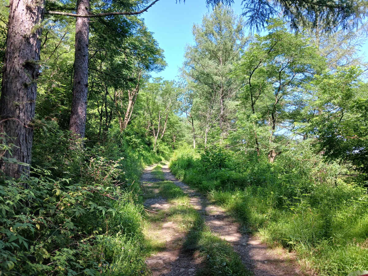 Trail 13H - Rock Run Recreation Area | Off-Road Trail Maps, Difficulty ...