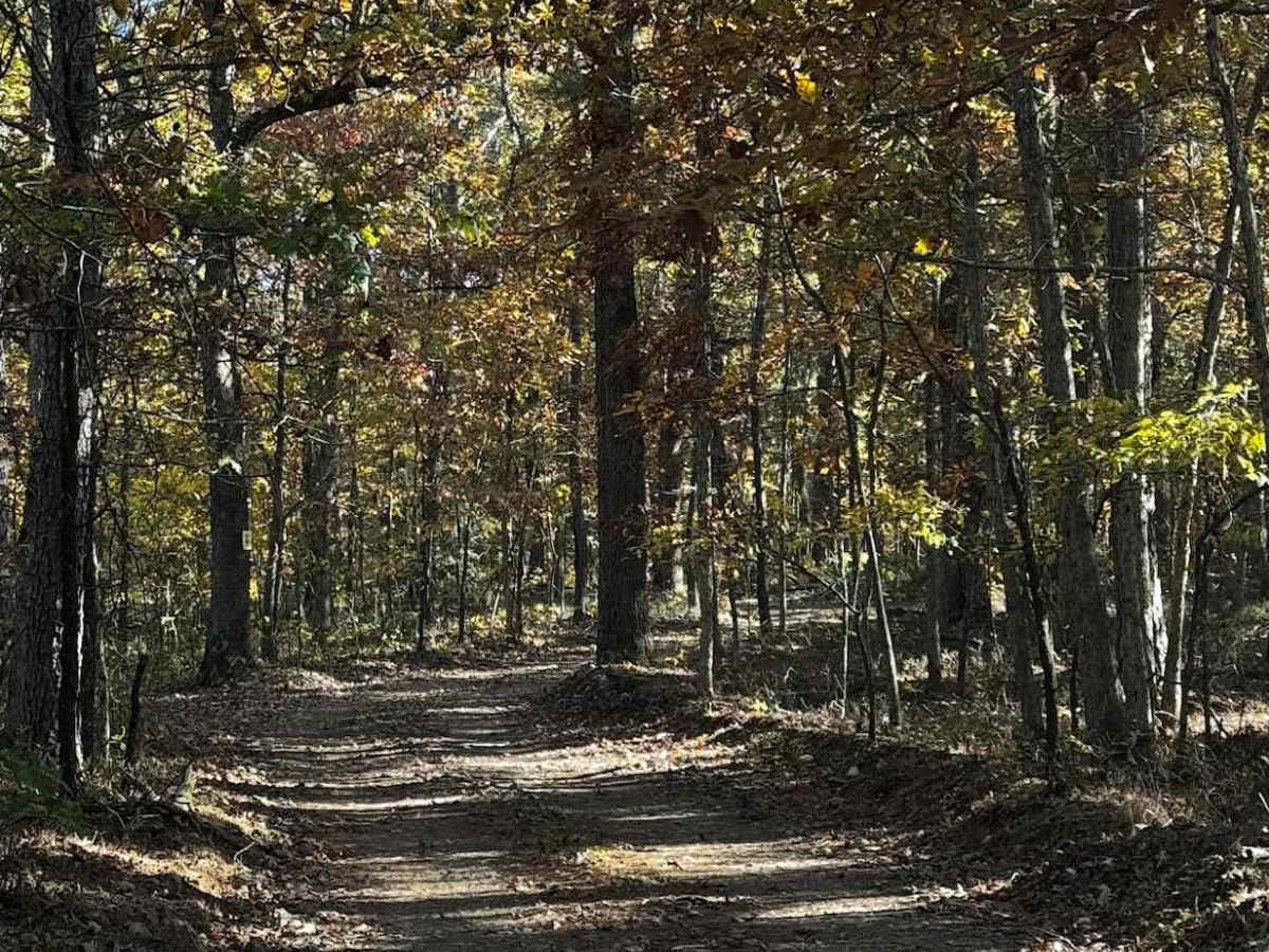 WMA Road 9 | Off-Road Trail Maps, Difficulty, Trail Status | onX Offroad