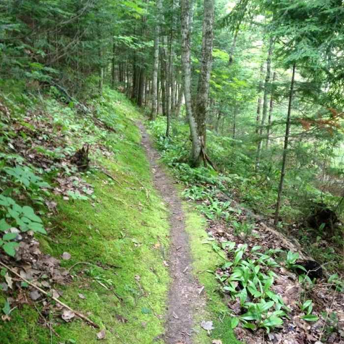 Edwards Trail | Hiking Trail Maps, Difficulty, Trail Status | onX