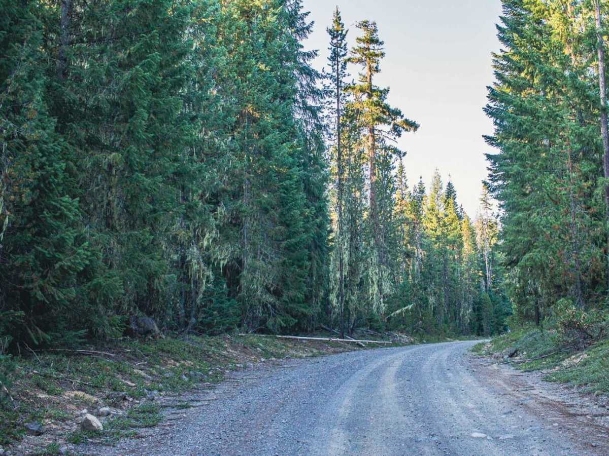 Lost Creek Loop | Off-Road Trail Maps, Difficulty, Trail Status | onX ...
