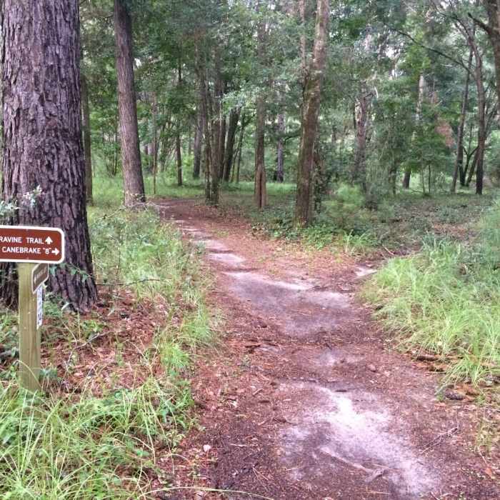 Sweetgum Hill Loop | Hiking Trail Maps, Difficulty, Trail Status | onX