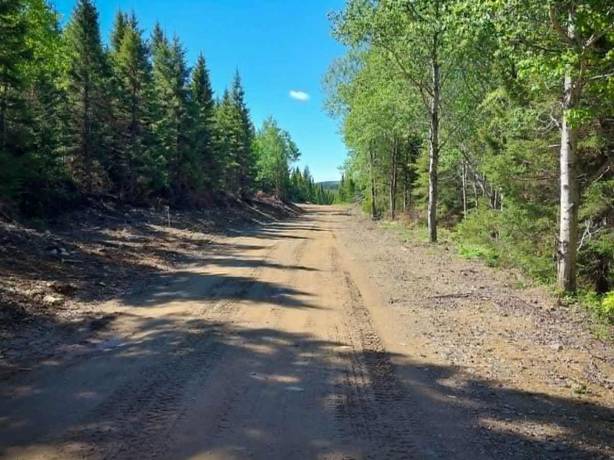 Big Bald Mountain | Off-Road Trail Maps, Difficulty, Trail Status | onX ...
