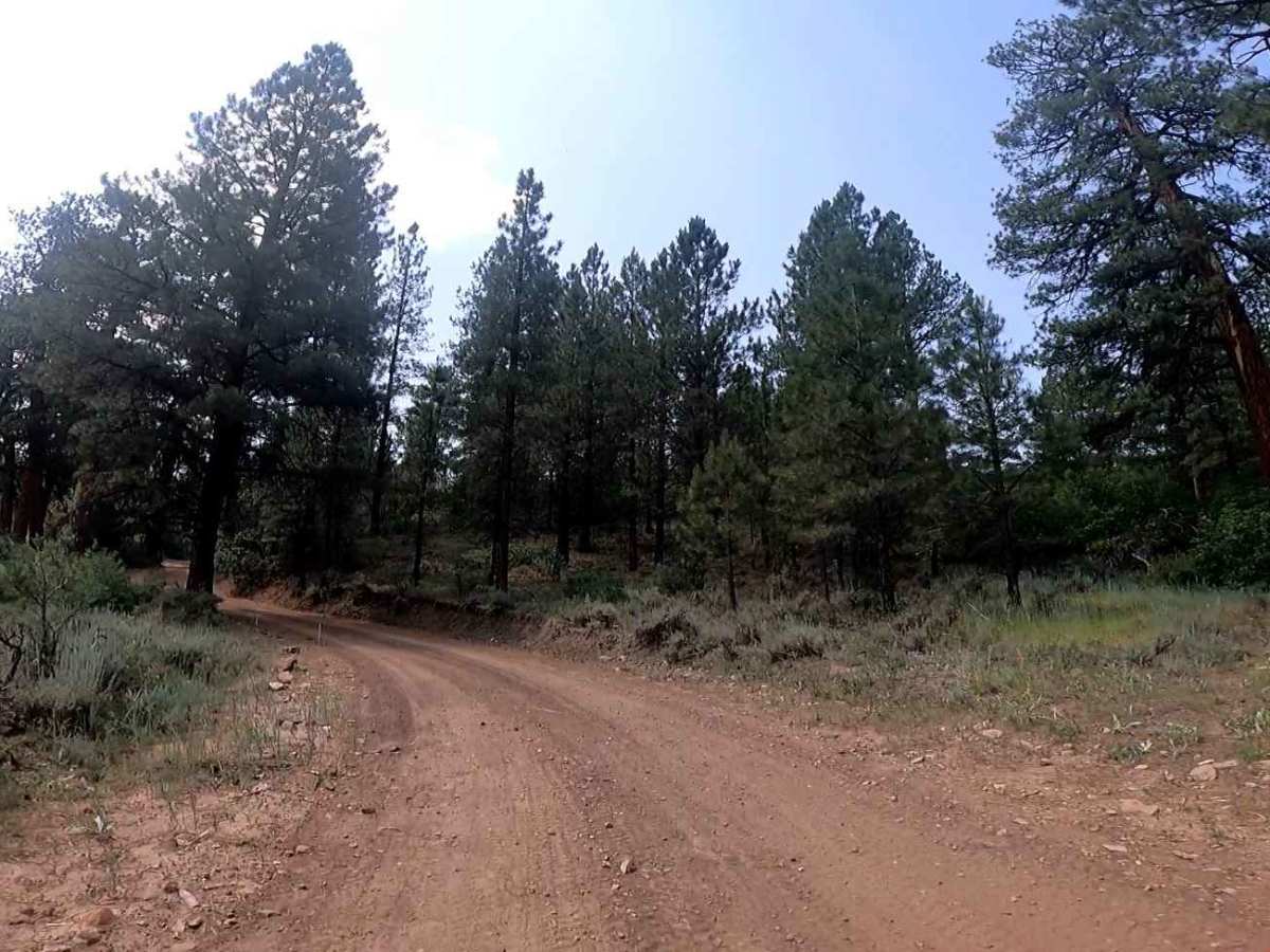 Shay Ridge | Off-Road Trail Maps, Difficulty, Trail Status | onX Offroad