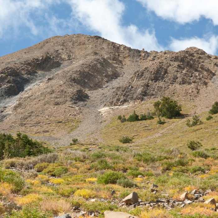 High Ridge Trail Hiking Trail | Map, Difficulty, Trail Status | onX