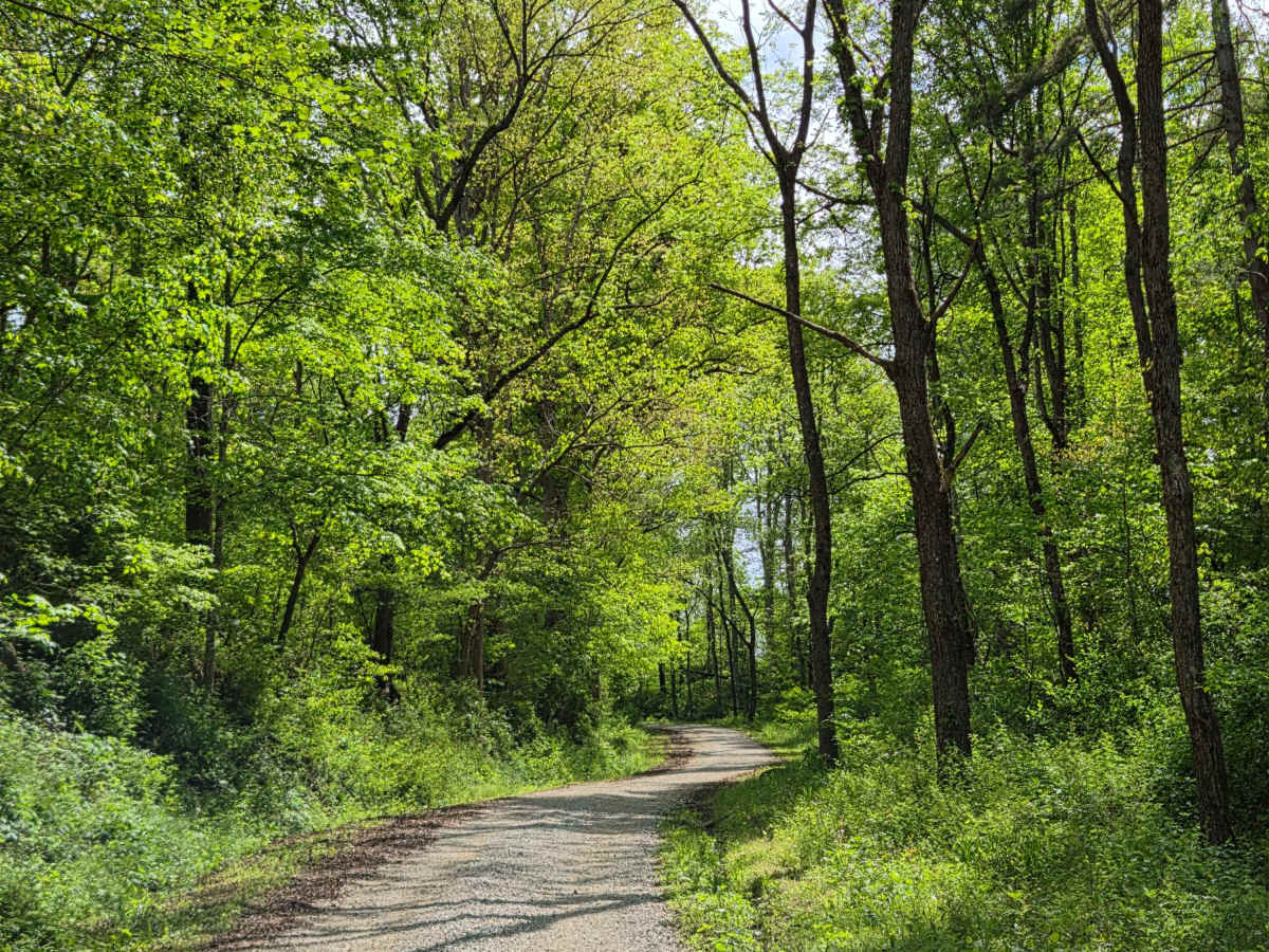Pierson Road | Off-Road Trail Maps, Difficulty, Trail Status | onX Offroad