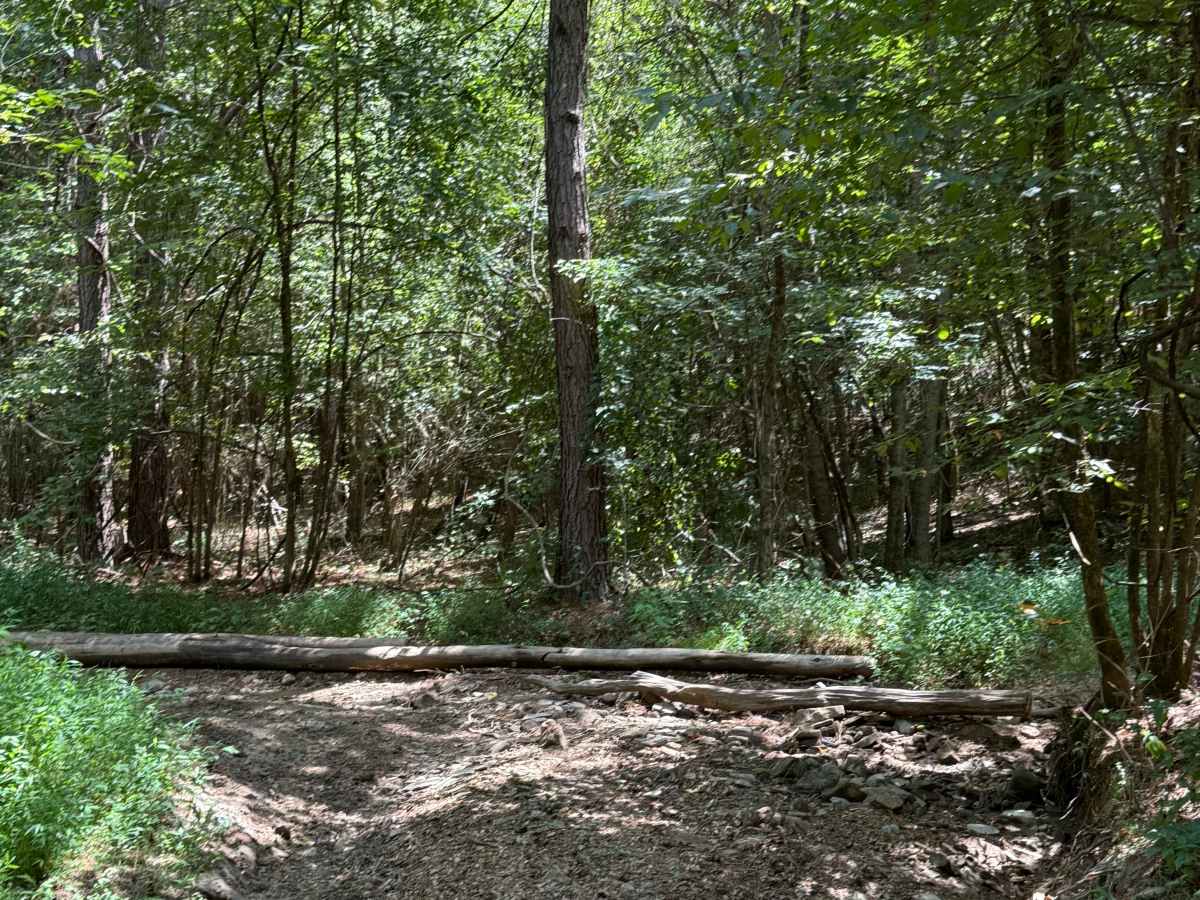 Crooked Creek | Off-Road Trail Maps, Difficulty, Trail Status | onX Offroad