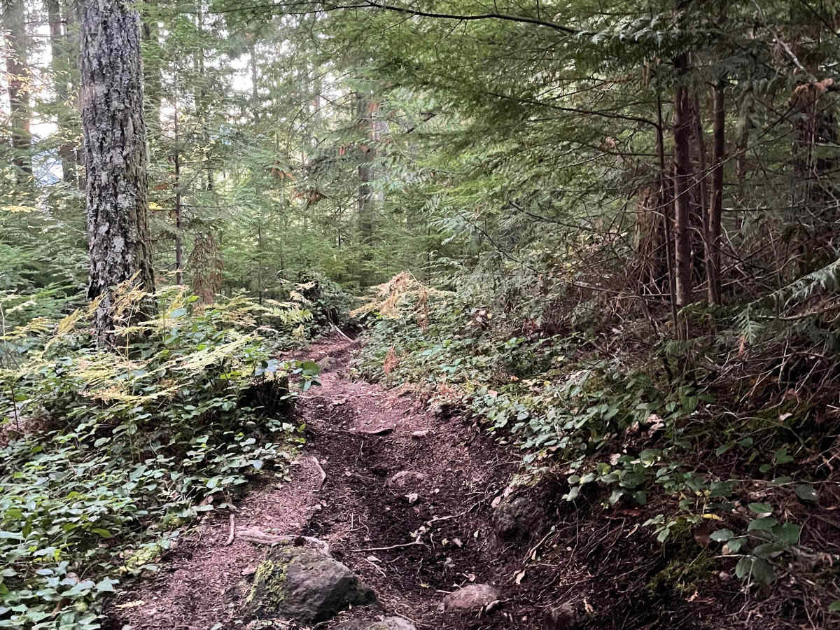 Fun in the Sun Part 2 | Off-Road Trail Maps, Difficulty, Trail Status ...