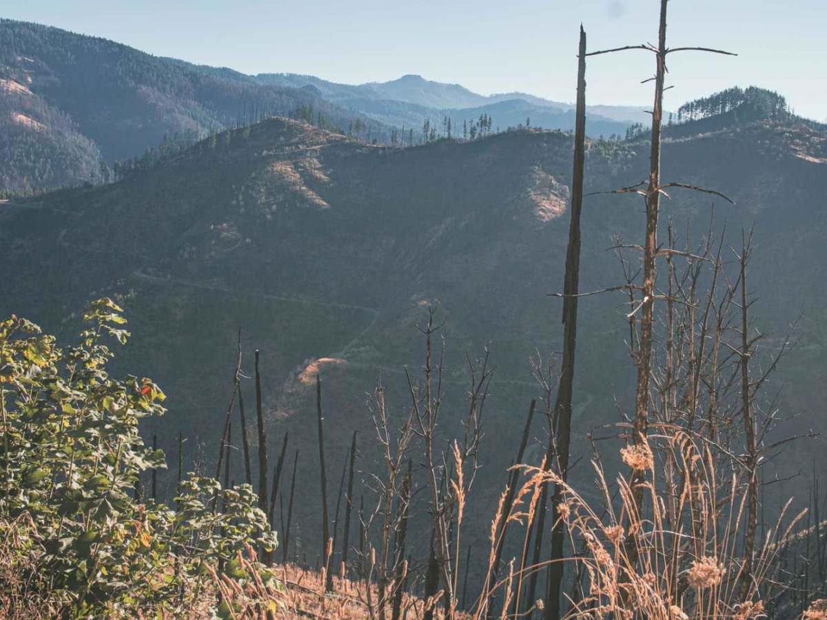 Bachelor Butte | Off-Road Trail Maps, Difficulty, Trail Status | onX ...