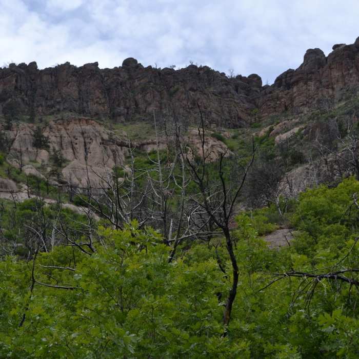 Comanche Trail #11 | Hiking Trail Maps, Difficulty, Trail Status | onX