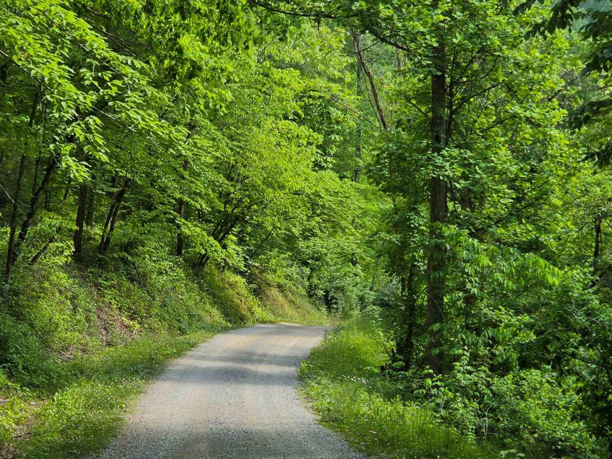 Stone Gap Road | Off-Road Trail Maps, Difficulty, Trail Status | onX ...
