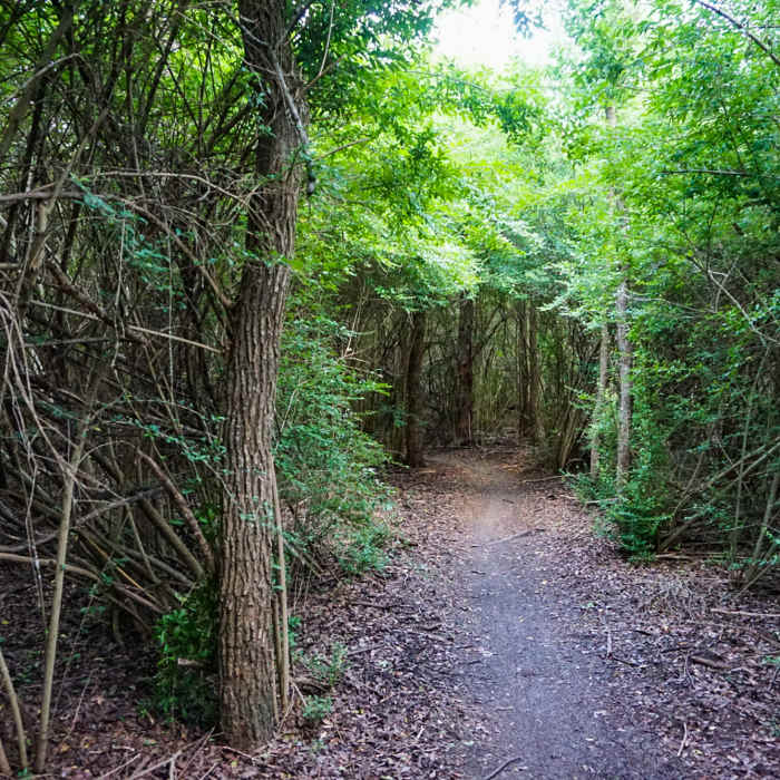 River Legacy Hiking Trail | Hiking Trail Maps, Difficulty, Trail Status ...
