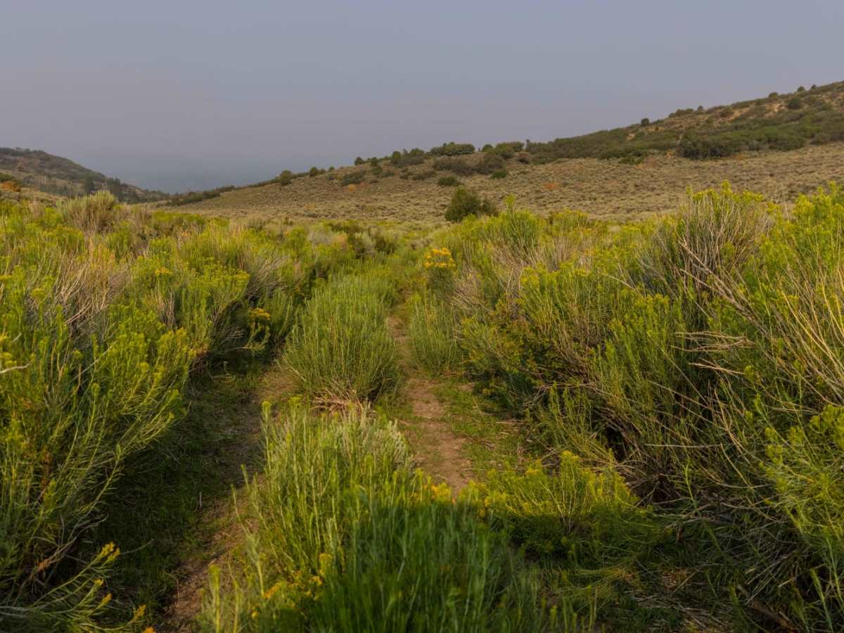 Rock Canyon | Off-Road Trail Maps, Difficulty, Trail Status | onX Offroad
