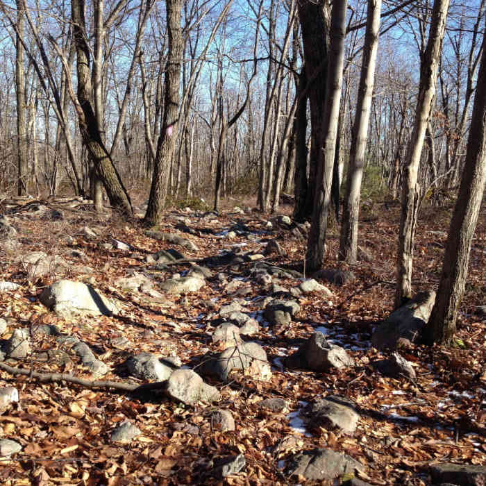 Middle Ridge Trail | Hiking Trail Maps, Difficulty, Trail Status | onX